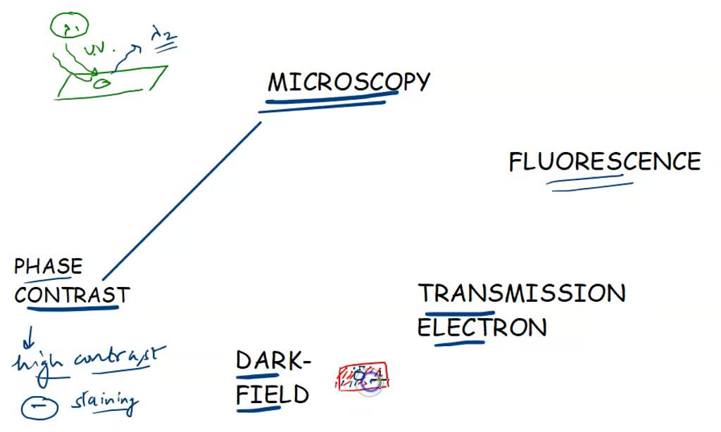 SOLVED: Question 2 (1 point) A microscope that exposes specimens to ...