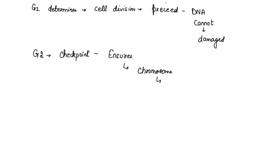 SOLVED: Explain how the three internal control checkpoints occur at the ...