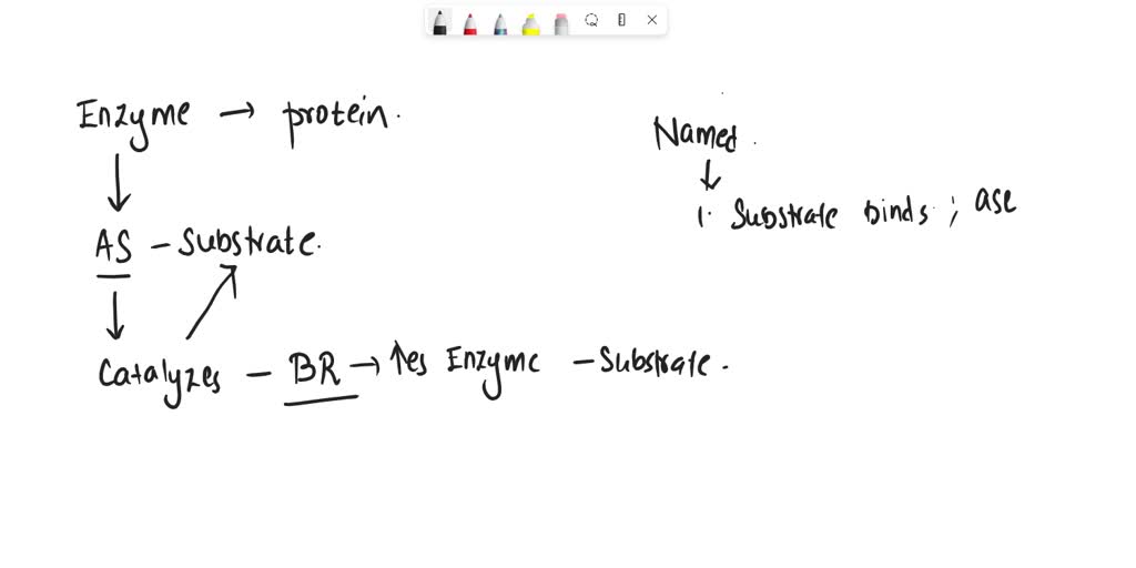 Which Of The Following Statements About Enzymes Is Not True Enzymes
