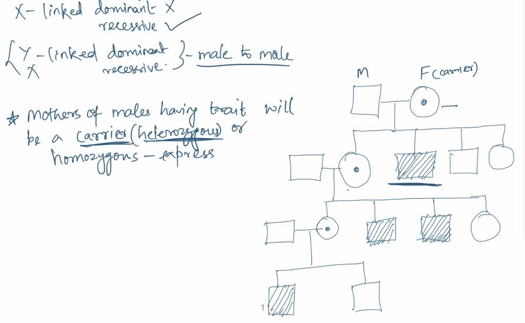 SOLVED: Lecture 10 4)A What type of genetic disorder is exhibited in ...