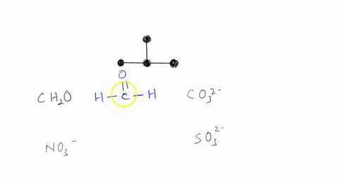 Molecules model check all that apply so3 noz ch20 co3 you...