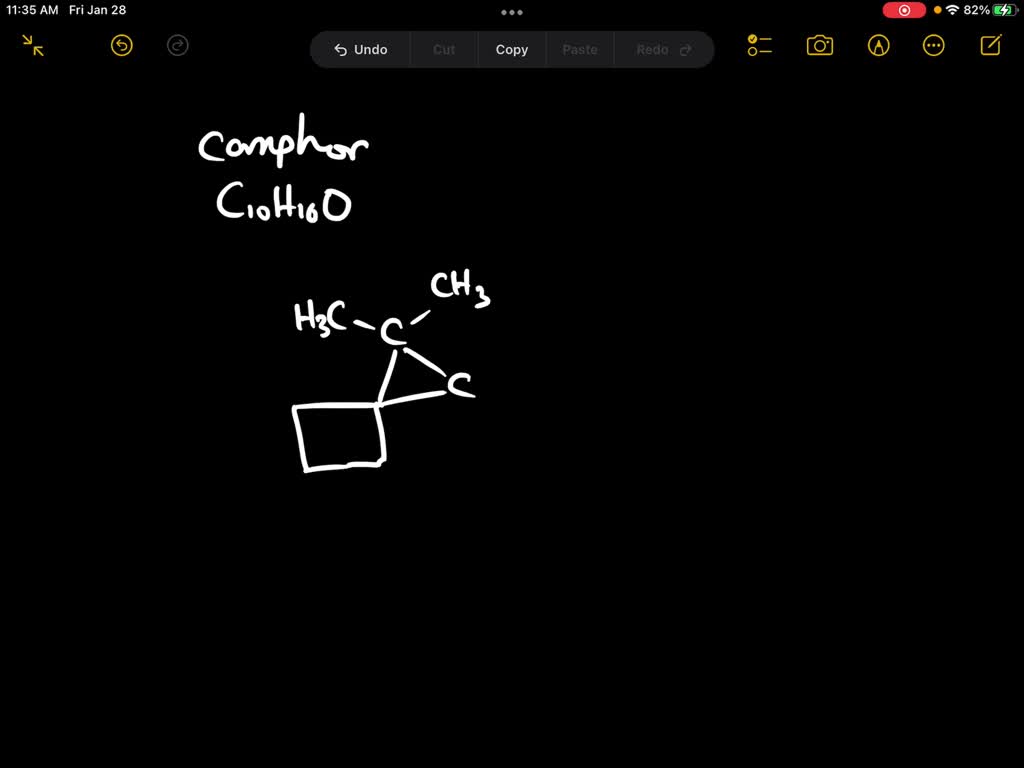 SOLVED: What is Camphor Condensed structural formula?