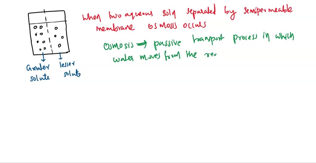 SOLVED: The diagram shows two aqueous solutions separated by semi ...