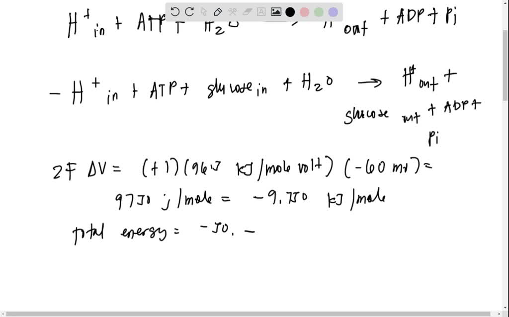 SOLVED: The Nat glucose symport system of intestinal epithelial cells ...