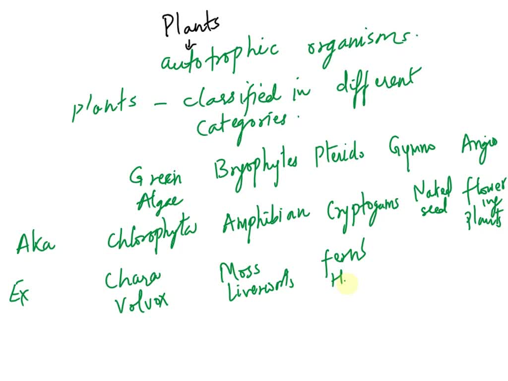Make a flowchart that shows the classification of plants using all of ...