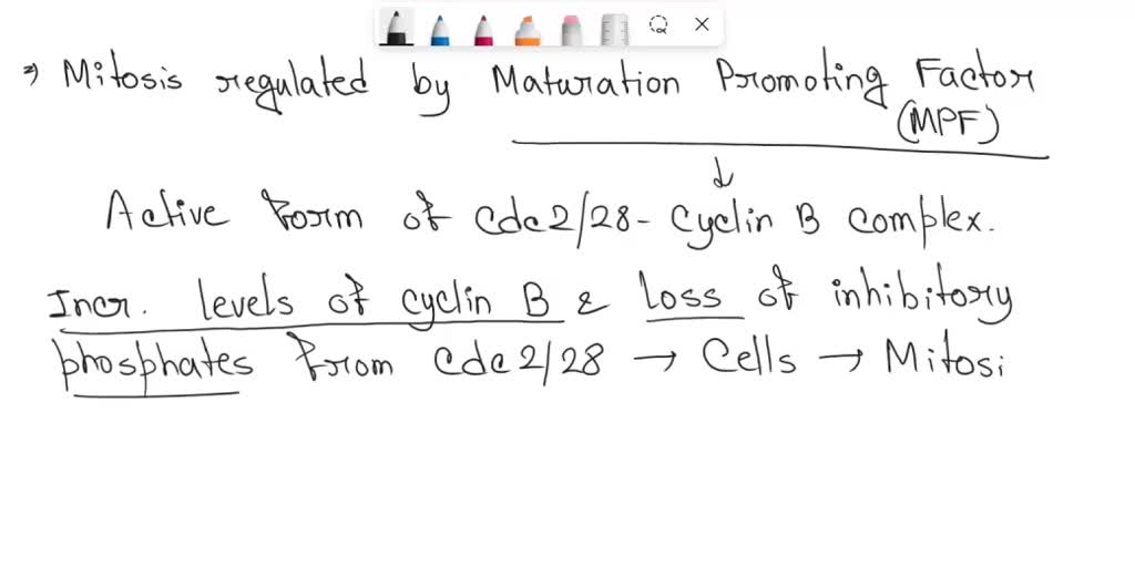 SOLVED: Maturation-promoting factor; MPF; is cyclin-dependent kinase ...