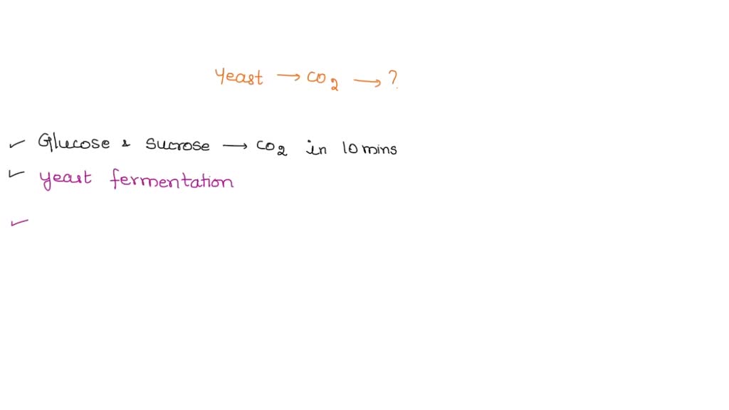 SOLVED: In the experiment, which sugar produced the most CO2 when ...