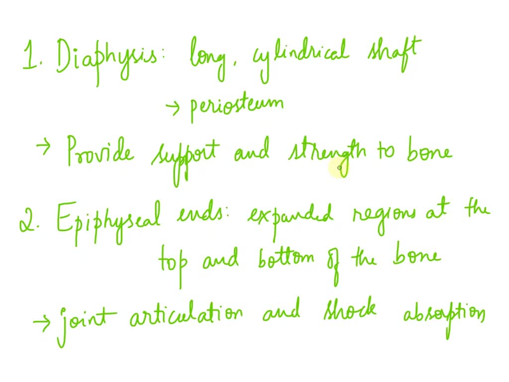 SOLVED: Explain what a cantilever bending is and how it occurs in a femur. SOLVED: Explain what a cantilever bending is and how it occurs in a femur.