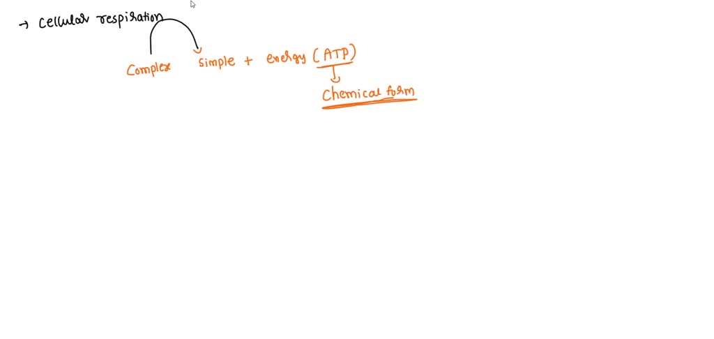 SOLVED: Question 11 (0.25 points) Saved In cellular respiration ... SOLVED: Question 11 (0.25 points) Saved In cellular respiration ...