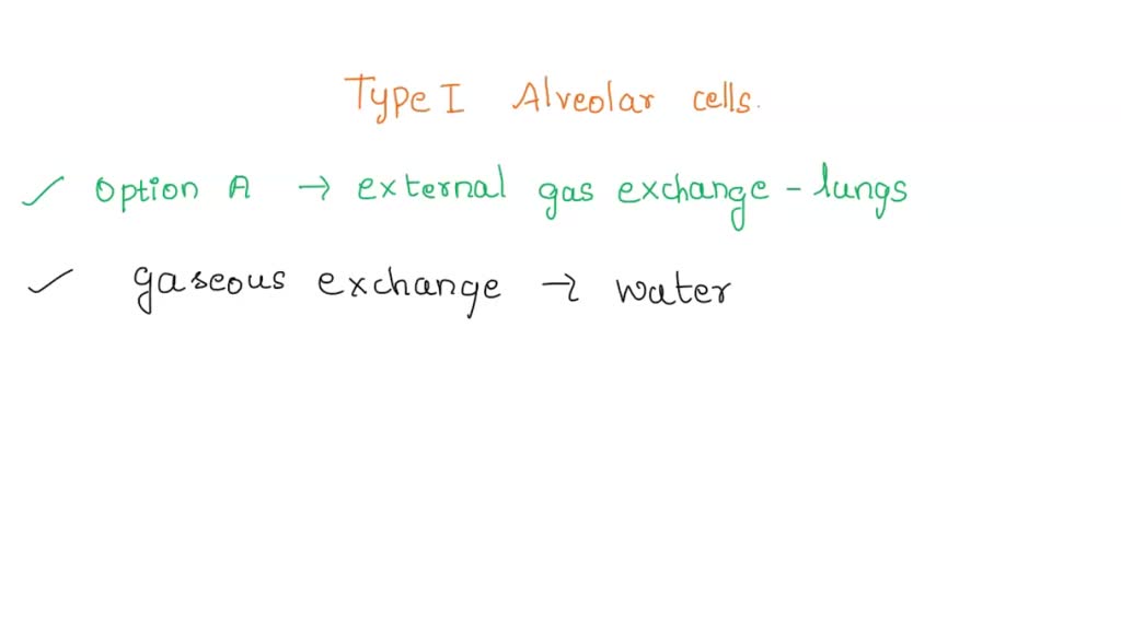 SOLVED: What is the function of type alveolar cells in the alveolar ...