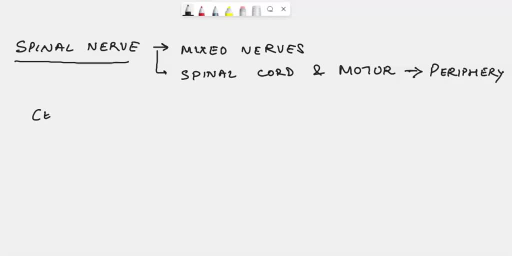 Solved Texts Module 7 Laboratory Cadaver Nervous System Pns Lab
