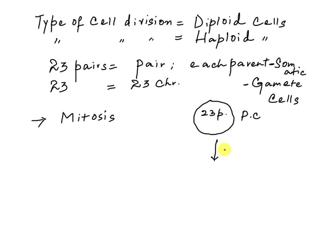 SOLVED: A type of cell division that results in diploid cells: meiosis or mitosis A type of cell ...