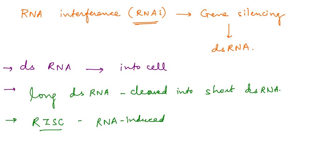 SOLVED: RNA interference (RNAi) is a mechanism of gene silencing that ...