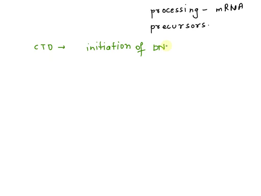 Solved What Is The Carboxy Terminal Domain Tail Of Rna Polymerase Ii