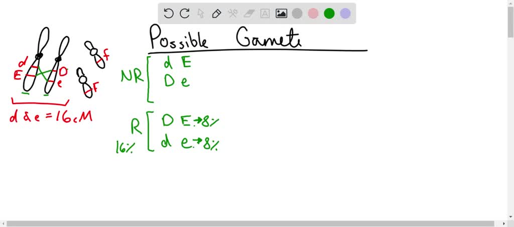 SOLVED: In Drosophila, dumpy (dp) is a gene that controls wing ...