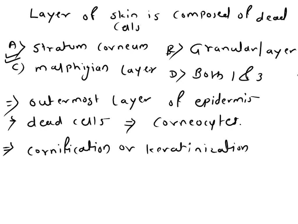 SOLVED: Which of the following layers of skin is composed of dead cells ...
