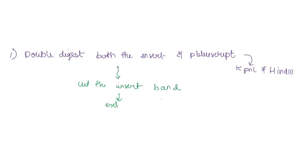 SOLVED: Describe how you would sub-clone the KpnI/HindIII fra= gment ...