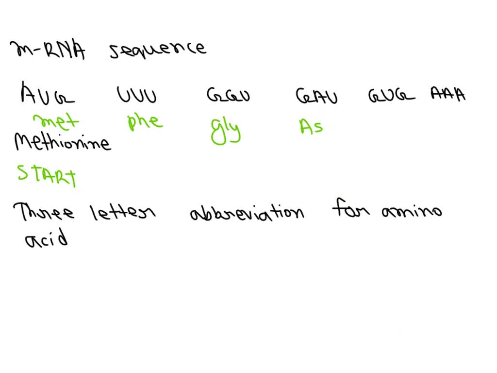 SOLVED: Use three-letter abbreviations to enter the amino acid sequence ...