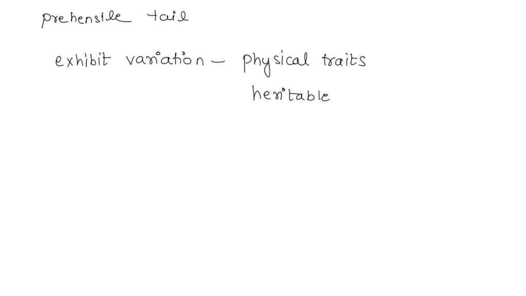SOLVED: The Platyrrhines have distinct physical traits that have been distributed through the ...