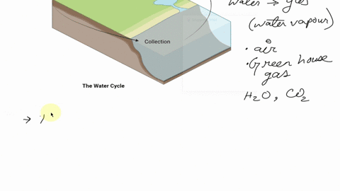 SOLVED: I need help... QUESTION: Draw a concept map of eutrophication ...