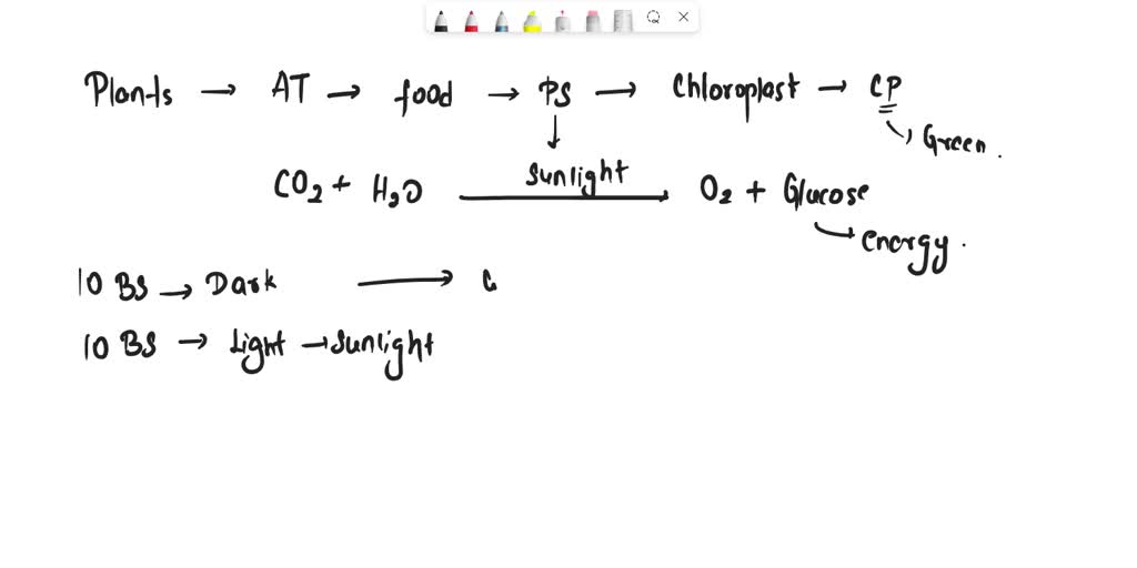 SOLVED: Callie did a lab during which she investigated the difference ...