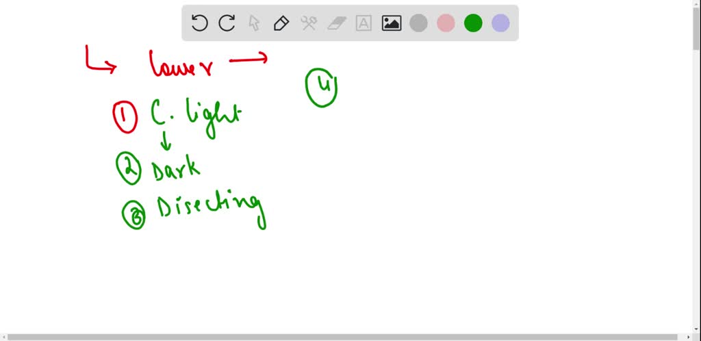 Arrange the five types of microscopes in order lowest resolution to ...