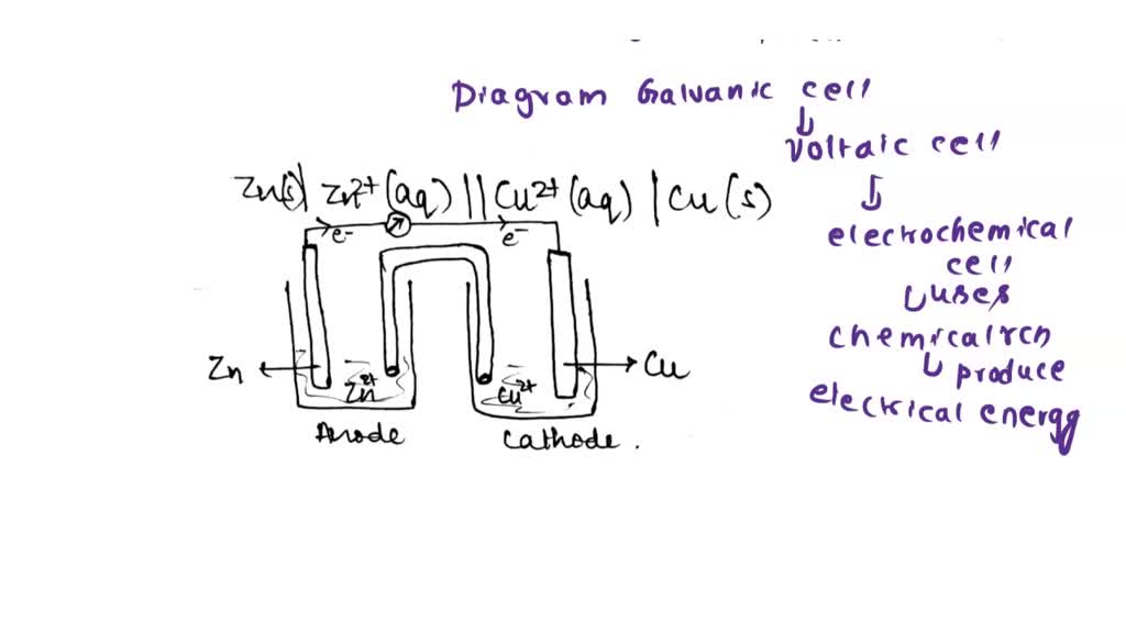 SOLVED: 1. Draw a diagram of the standard cell potential for a Zn/Cu ...