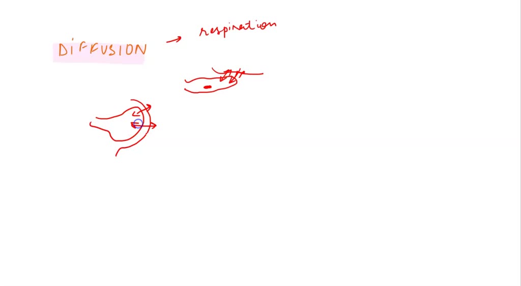 SOLVED: Diffusion is an important process in animals and plants. The ...