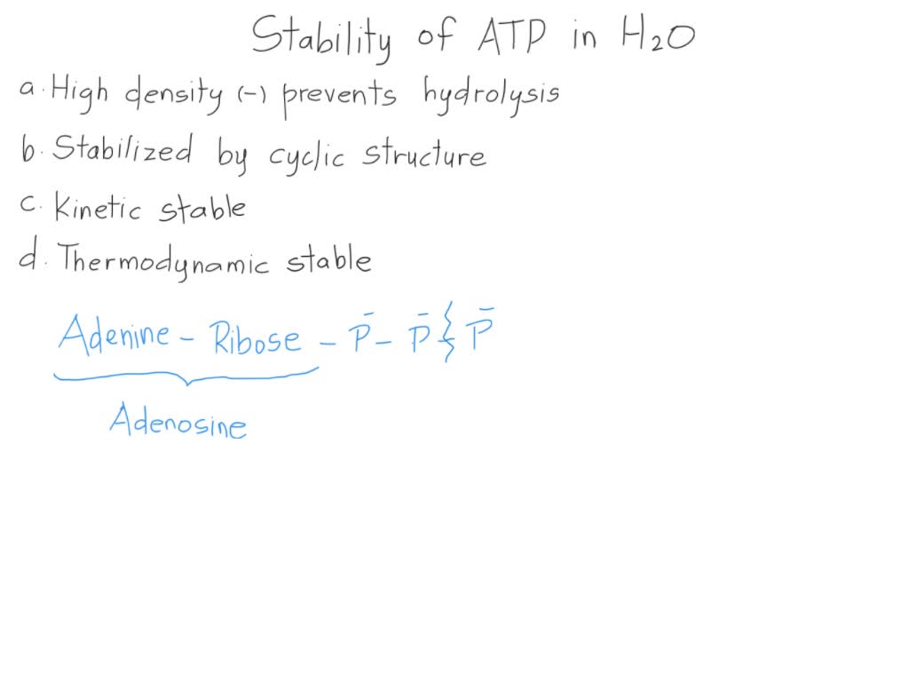 SOLVED: The ATP molecule includes three phosphate groups designated ...