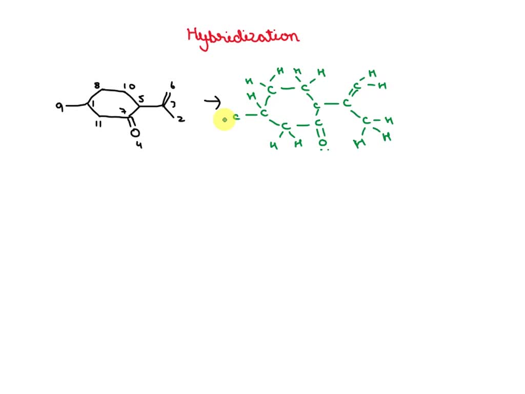 SOLVED: Texts: Using the molecular model kits, what atoms do the red ...
