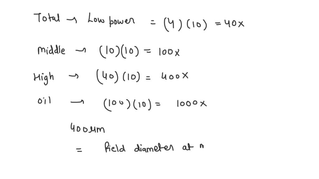 SOLVED: In the column next to the total magnification, draw a straight ...