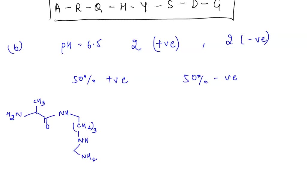 SOLVED: A peptide has the sequence Ala-Arg-Gln-His-Tyr-Ser-Asp-Gly ...