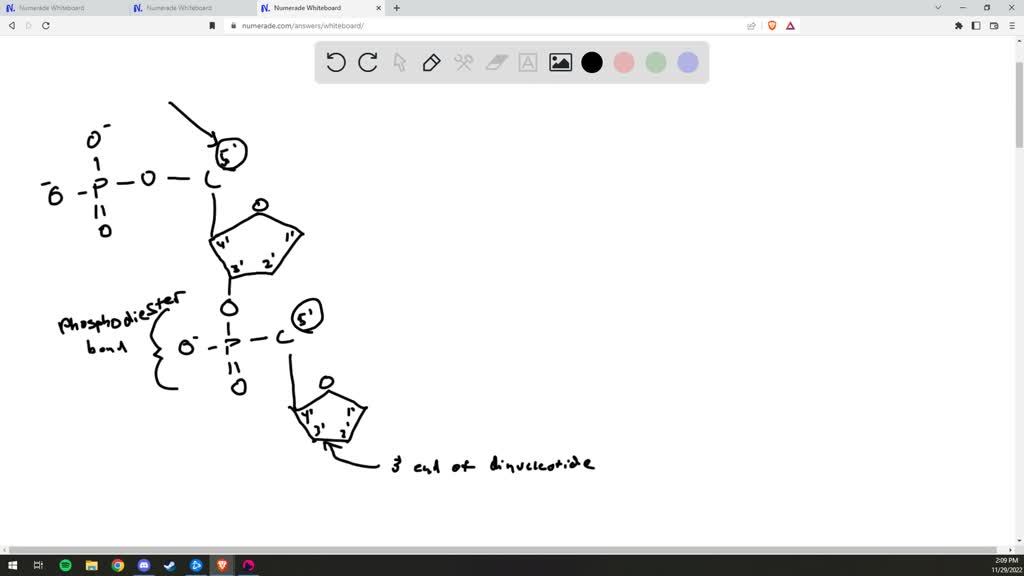 SOLVED: Draw the complete structure of the DNA dinucleotide 5'-TC-3 ...