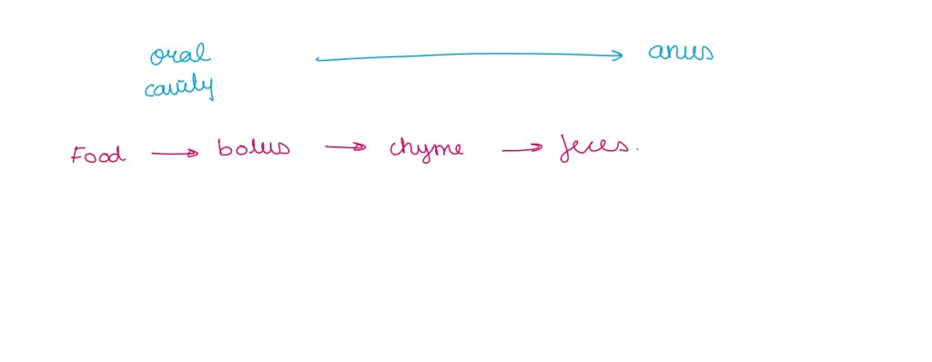 SOLVED: As food is processed and moved through the digestive tract ...