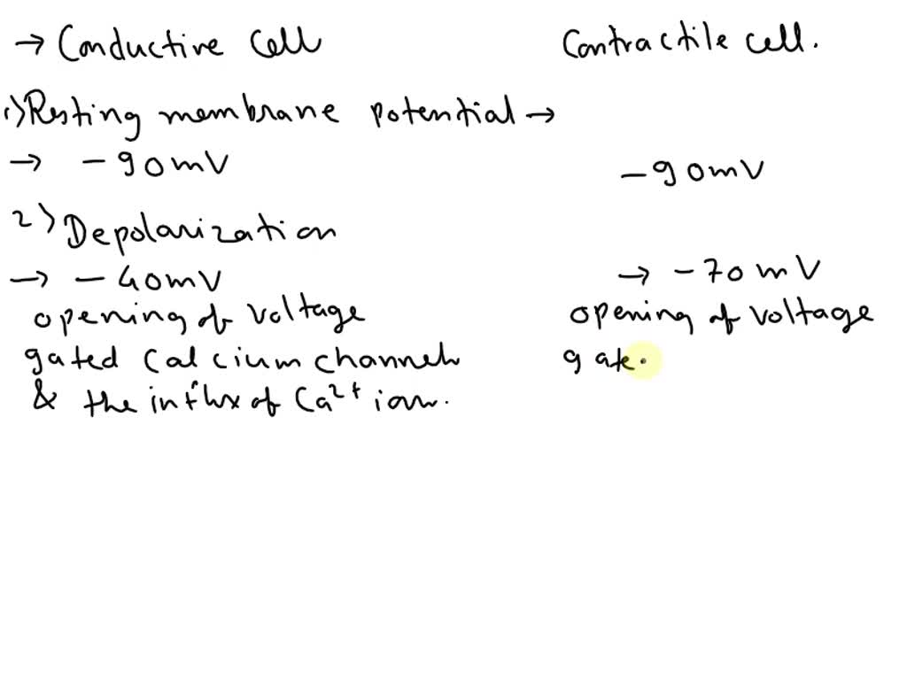 SOLVED: Compare and contrast the action potential of a myocardial ...