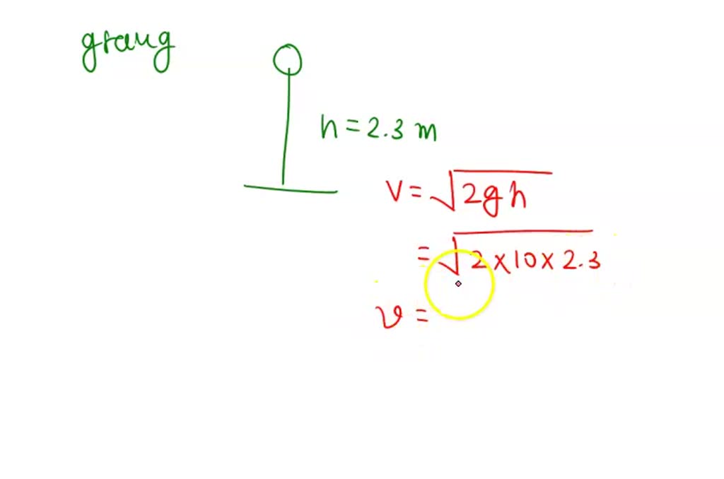 SOLVED: 'Grug is a creature formed from the top of a Burrawang tree ...