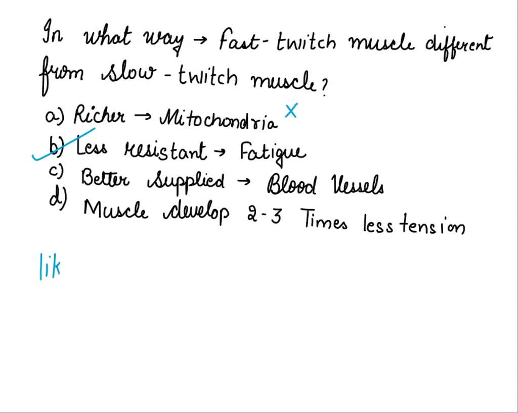 SOLVED: a) What are the THREE phases of a muscle twitch and what ...