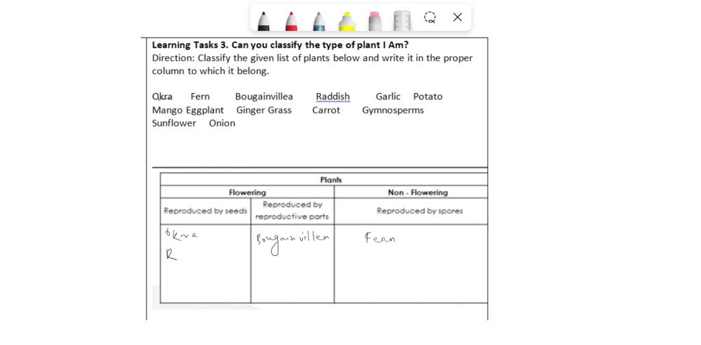 SOLVED: Text: Learning Tasks 3 Can you classify the type of plant Am ...