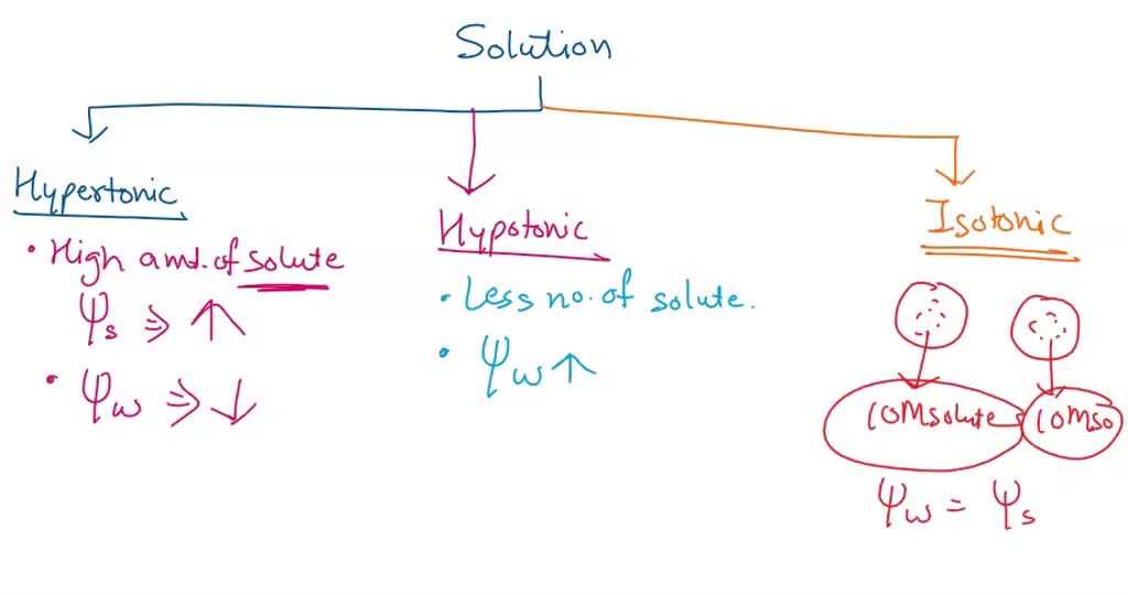 SOLVED: Consider the diagram below. What is the correct description of ...