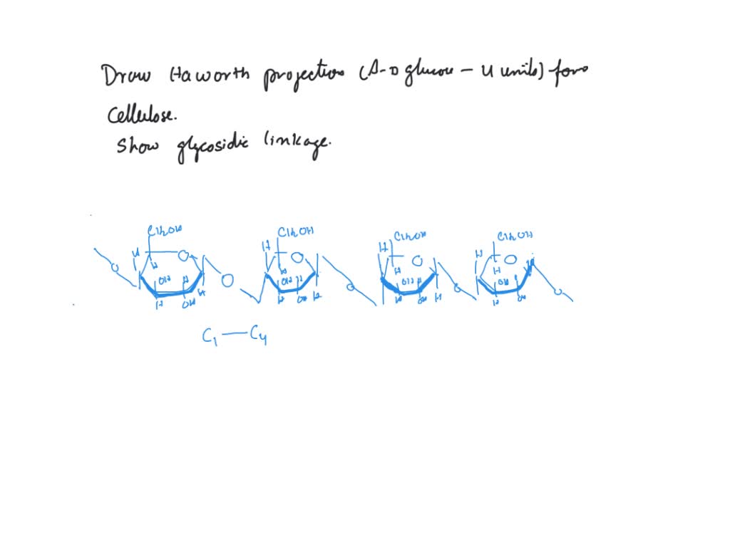 SOLVED: Part 3: Polysaccharides Using Haworth structures, draw portion ... SOLVED: Part 3: Polysaccharides Using Haworth structures, draw portion ...