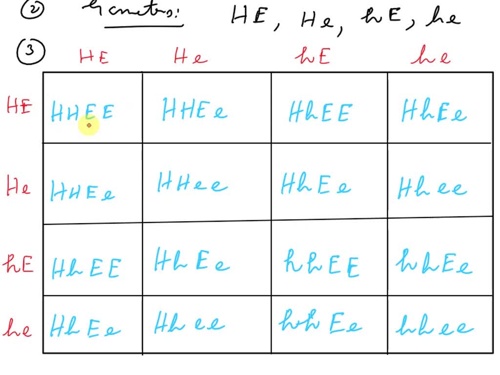 Solved Critical Thinking Assessment Assume That The Genes For Hairline And Earlobes Are On