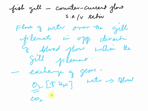 How might a fish gill represent an example of countercurrent...