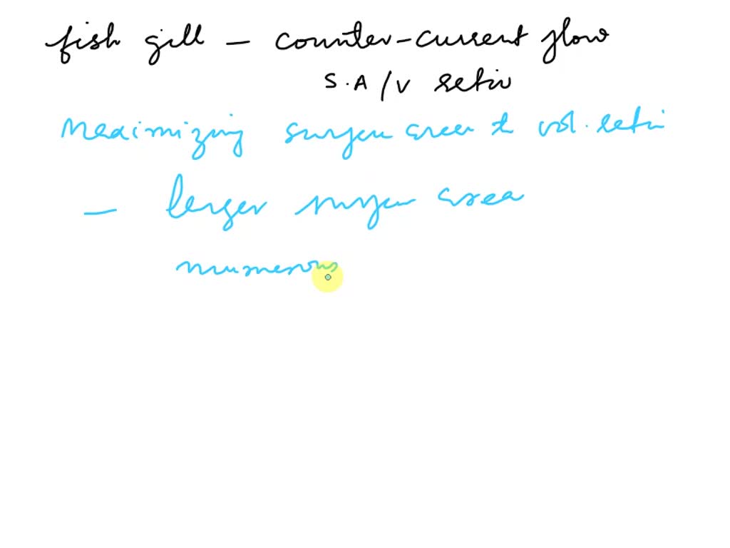 SOLVED: How might a fish gill represent an example of countercurrent ...
