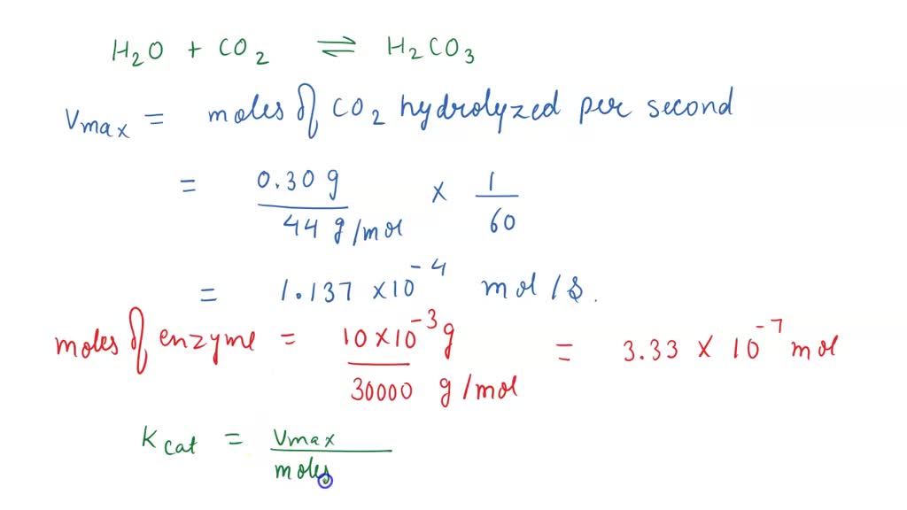 SOLVED: Carbonic anhydrase has one of the highest turnover numbers ...