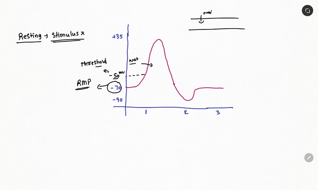 SOLVED: Question 78 (2 points) On the diagram below, the membrane ...