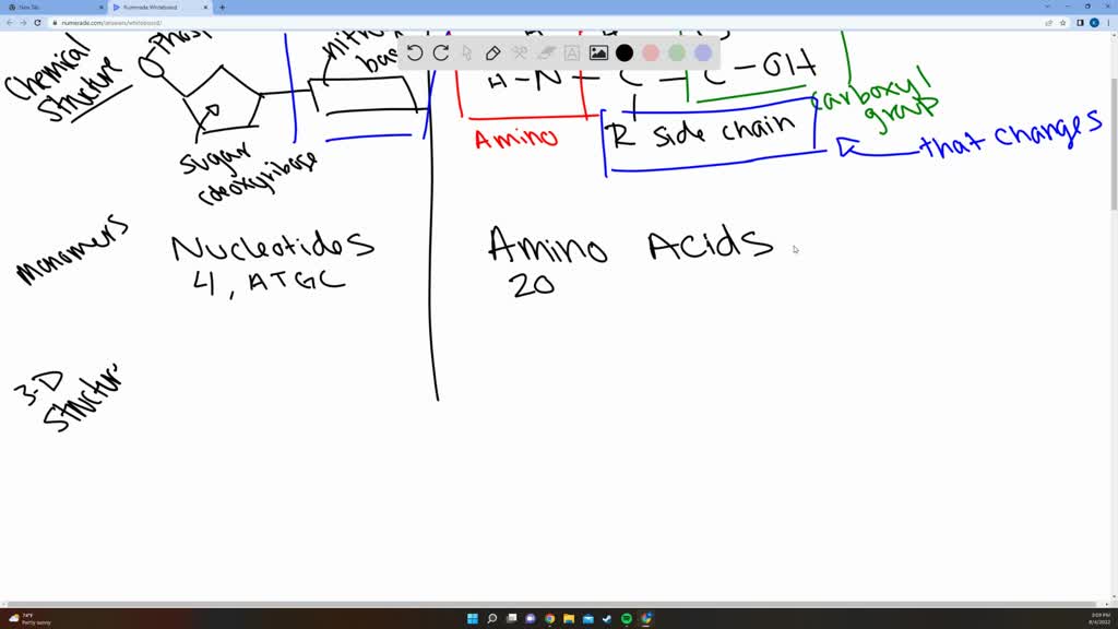 SOLVED: Compare and contrast the chemical structure of a DNA molecule ...