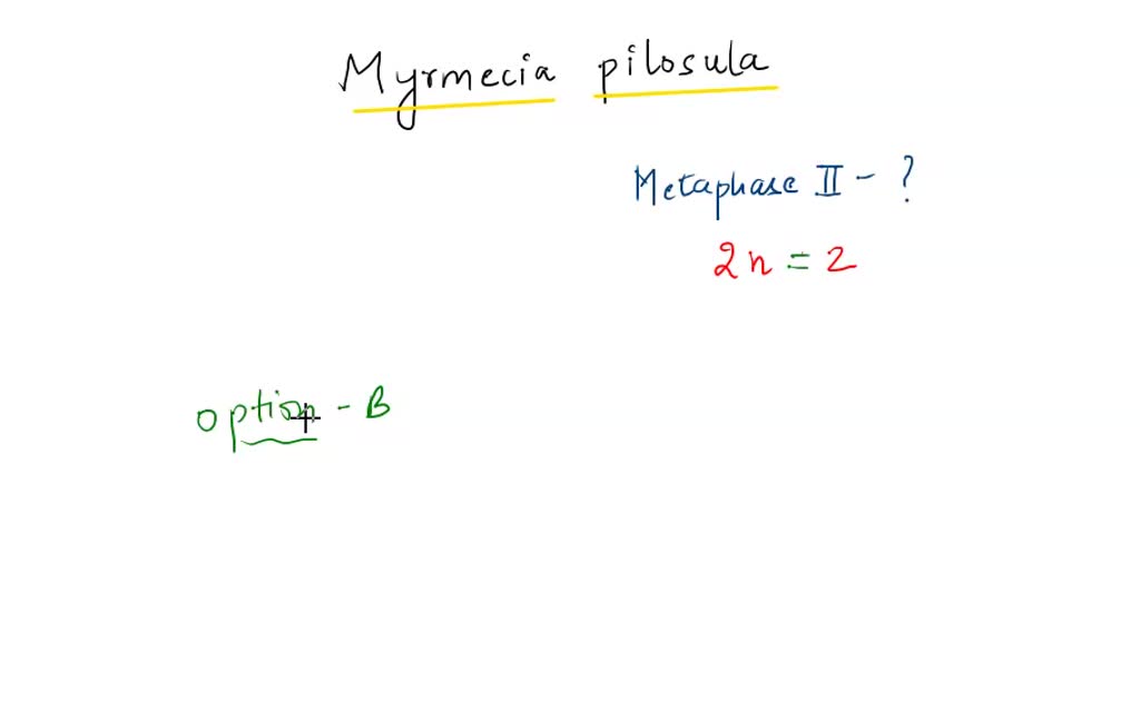 SOLVED: The ant (Myrmecia pilosula) found in Australia is named bulldog ...