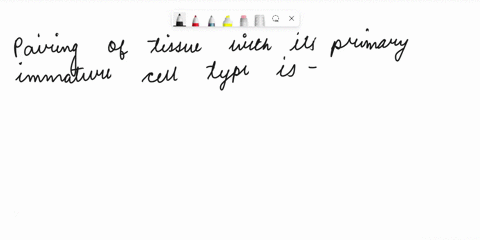 Which tissue is correctly paired with its primary immature...