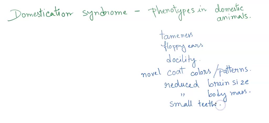SOLVED: Wilkins et al. proposed a neural crest hypothesis to explain ...