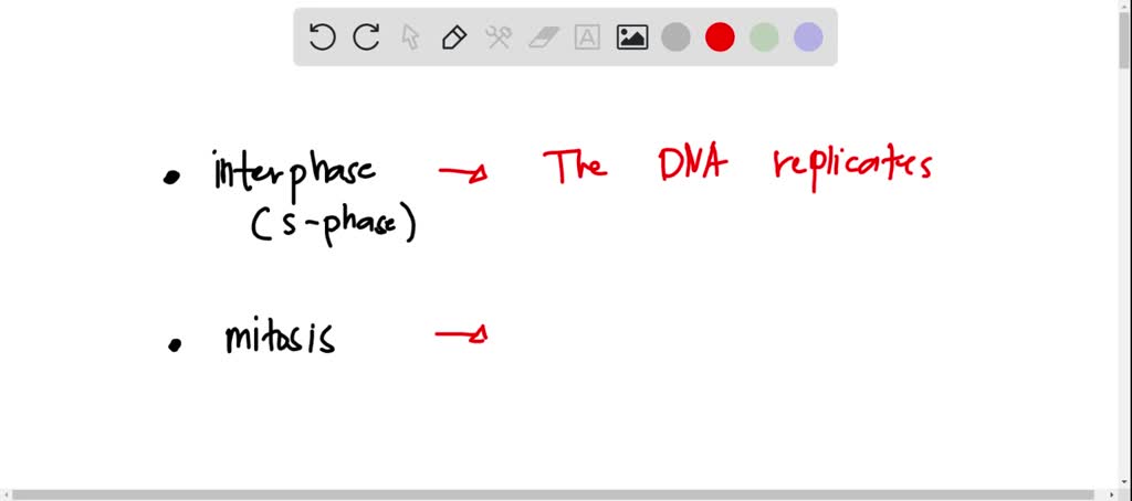 Solved Drag The Tiles To The Correct Boxes To Complete The Pairs Match The Phases In The Cell